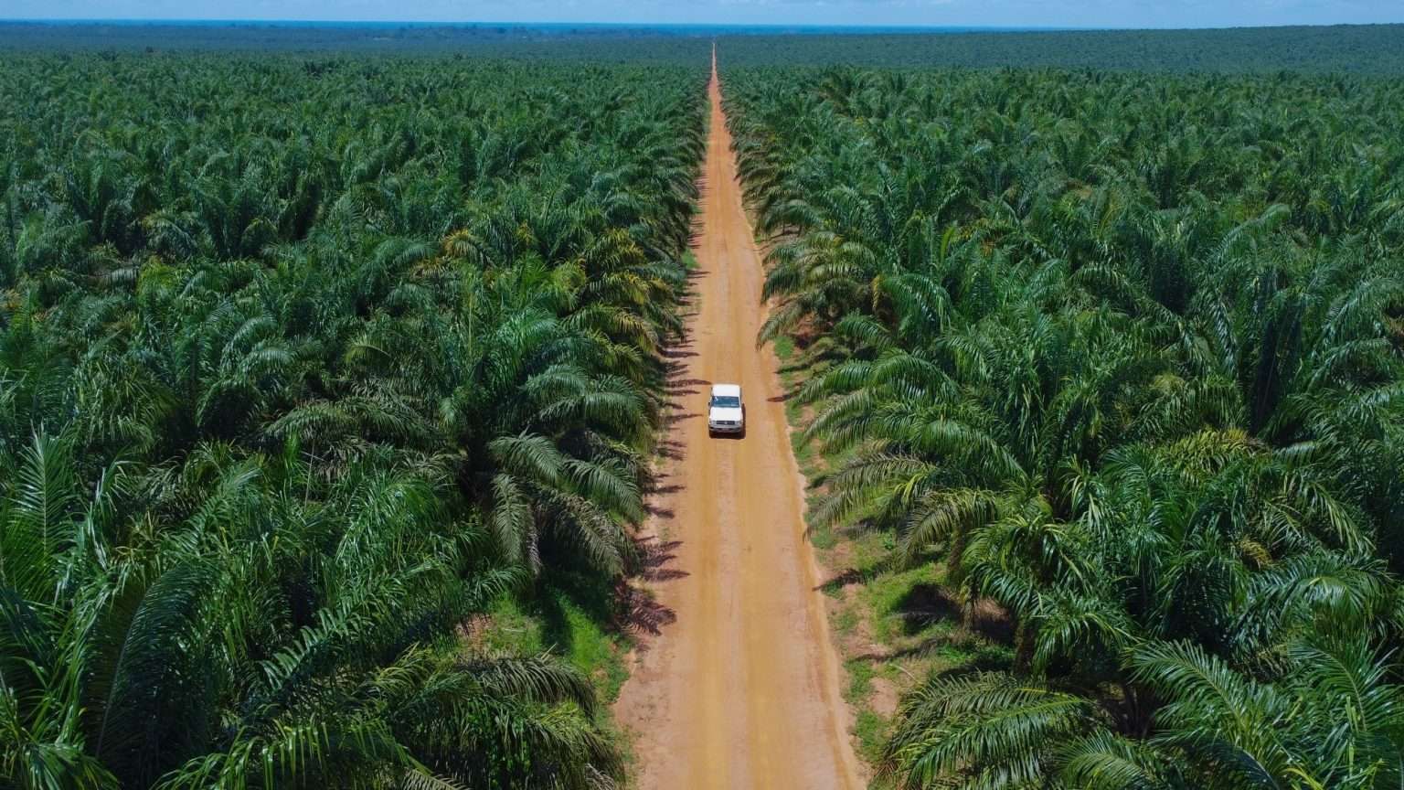 PHC célèbre 114 ans d’engagement au service du développement ...